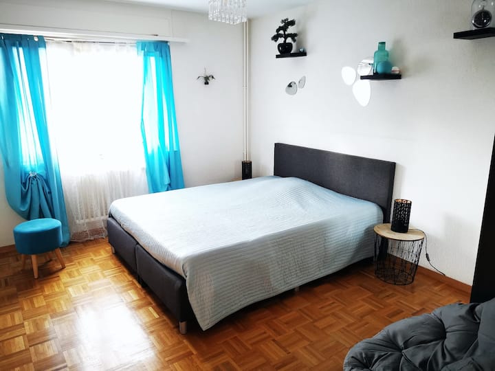 Logement Calme Et Lumineux ! - Lausanne