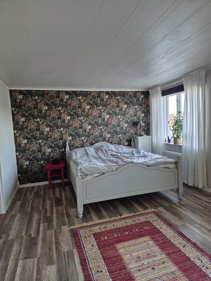 Solbacka Gård - Edsbyn