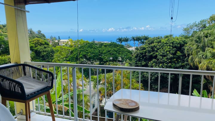 Appt Cosy à Saint Denis - Saint-Denis