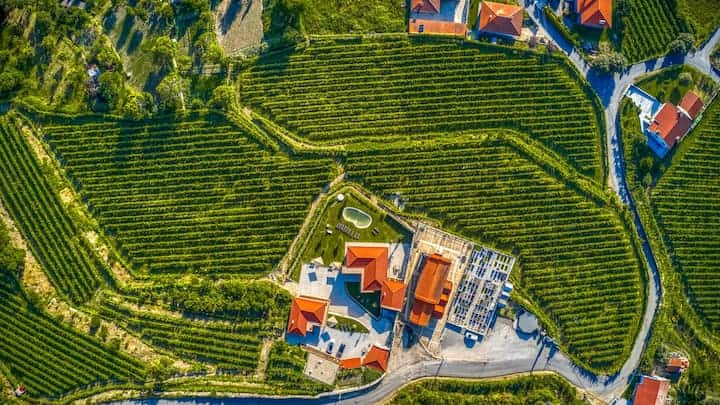 Villa Alvarinho - Vale Da Fonte Charming Houses - Pico