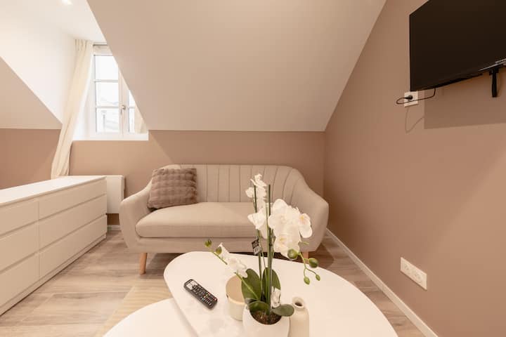 Le Charme De Montargis - Elégant Studio - Montargis