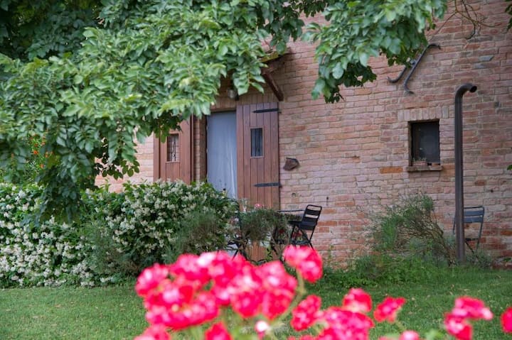 The Pegasus Apartment - Castiglione del Lago