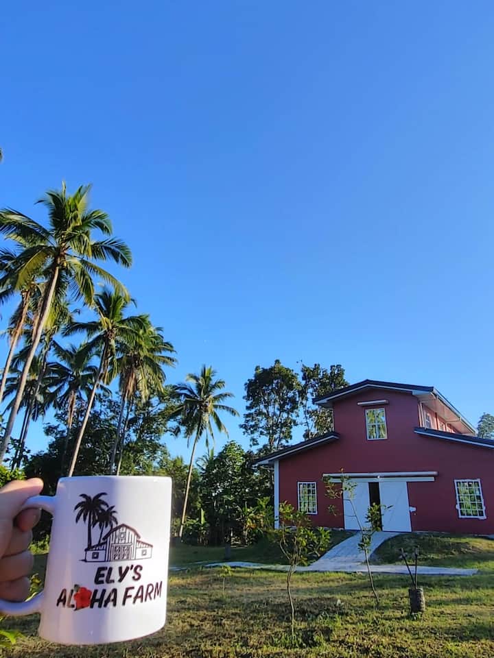 Family Staycation At Aloha Farm Cavite Retreat - Alfonso