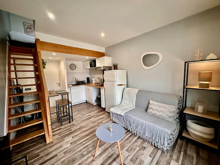 Le Duplex - 1 Chambre - Lourdes