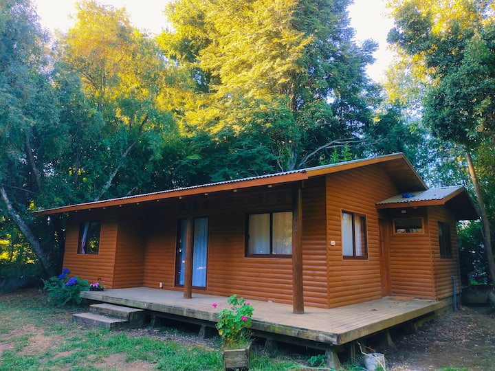 Cabañas Pucón Urbano-nativo - Pucón