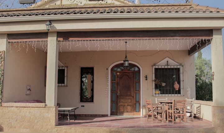 Palmsdreams Gate: Alicante - Elche, Costa Blanca - Elche