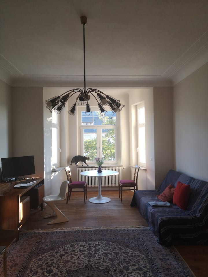 Jugendstilwohnung Kaßberg - Chemnitz