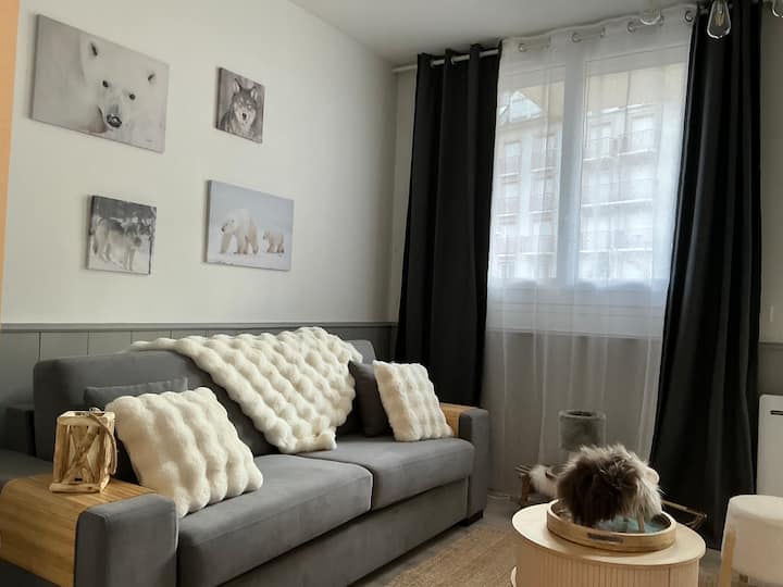 Studio Cosy,150m Télécabines+terrasse & Casier Ski - Cauterets