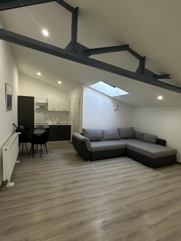 Charmante Loft-wohnung - マインツ