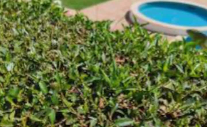 Appartement 78 M2 Algarve - Armação de Pêra