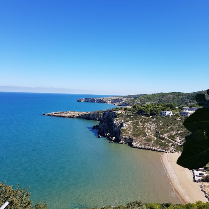 Casa De Sio Trilocale - Peschici - Peschici