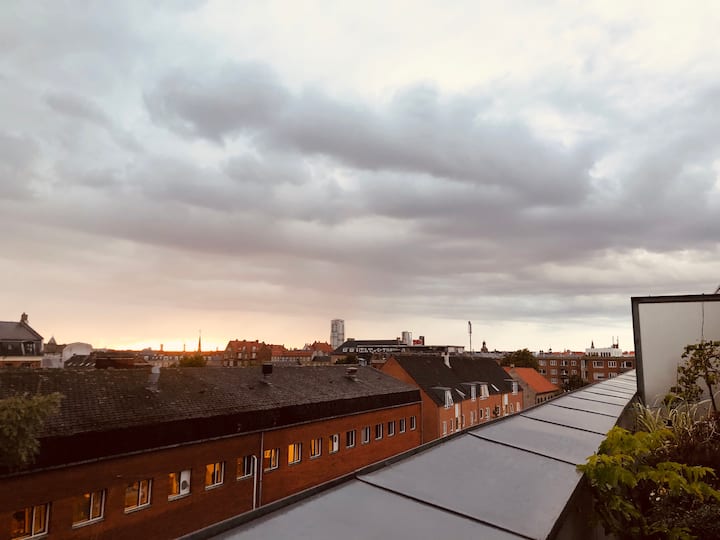 Tranquil, Exquisite & Bright Penthouse Apt - Copenhague