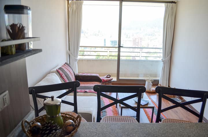 Hermoso Y Acogedor Departamento En El Centro - 