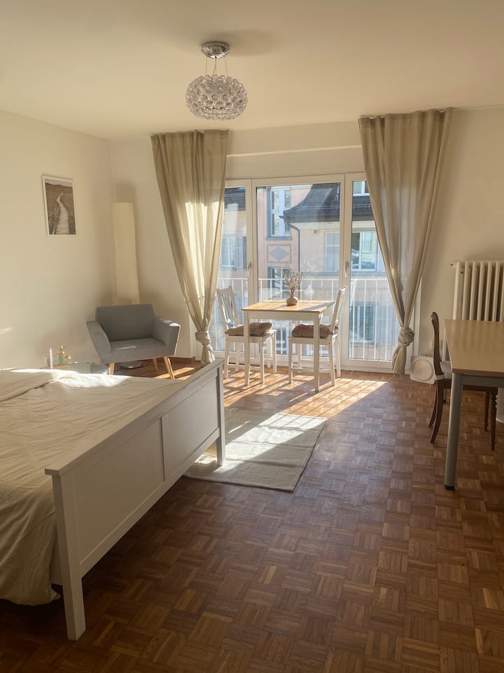 Bright Central Studio For Nomads - Zürich