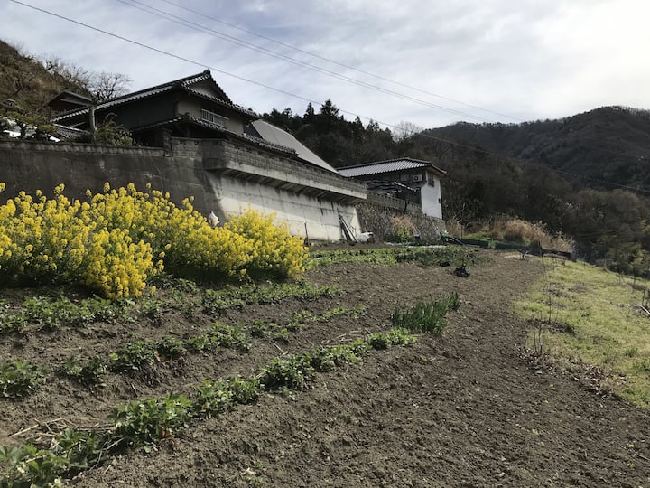 霊峰剣山マウンテンビュー農業体験 お山の民宿 茅蜩ひぐらし - Mima