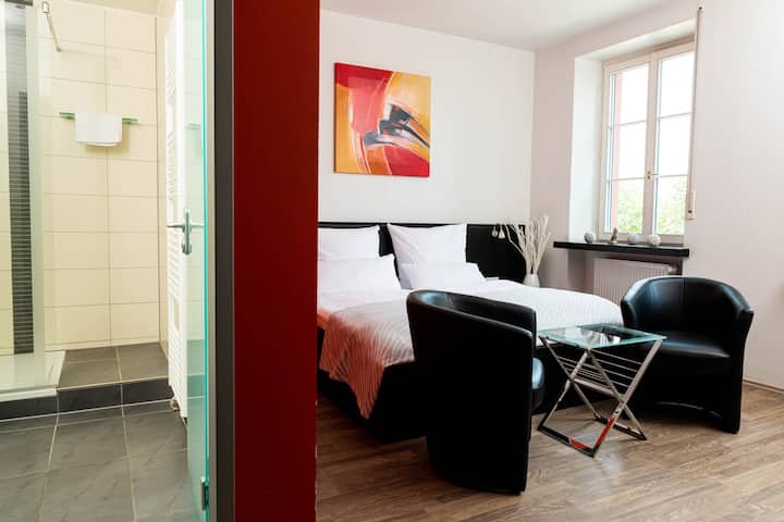 Hotel Villa Bassermann King Size Double Room - Schwetzingen
