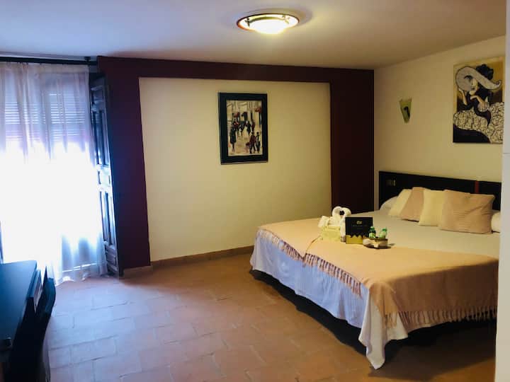 Junior Suite - Almagro
