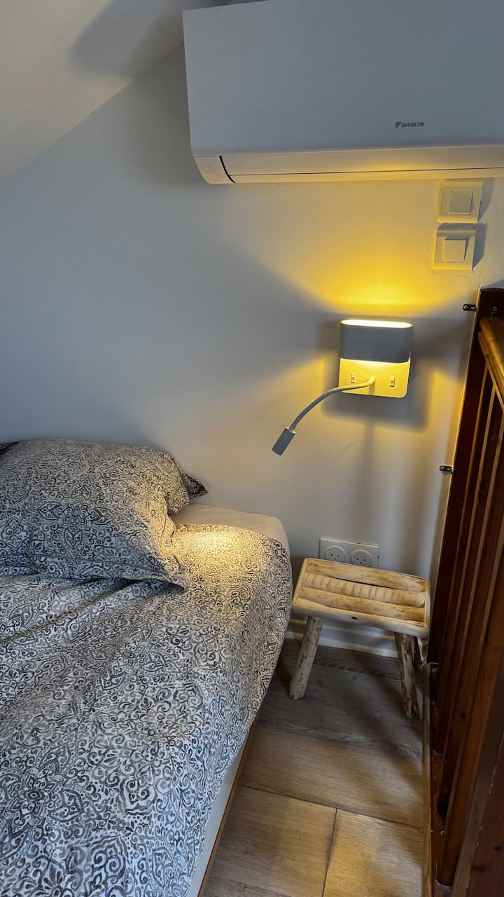 Duplex 1 Chambre, 1 Canapé Lit, 35 M2, 4p., Clim - Villeurbanne