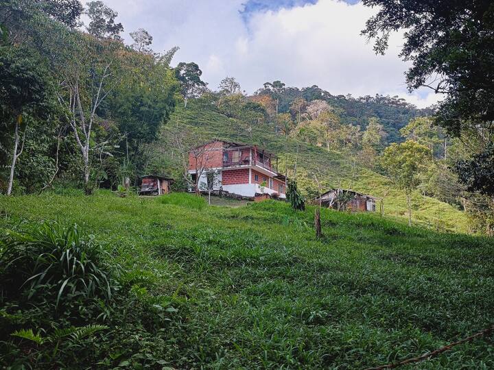 Finca Villa Alejandra - San Luís