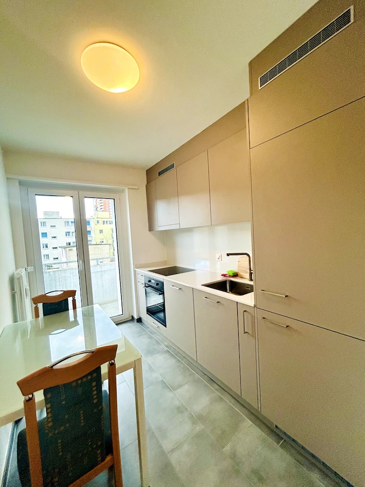 Central Spacious Apartment In Heart Of Basel - Basel