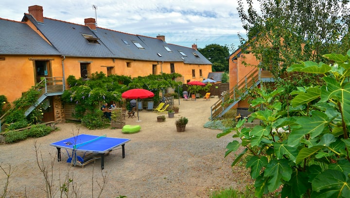 Groupe, Cousinade 15 à 47 Places - Ille-et-Vilaine