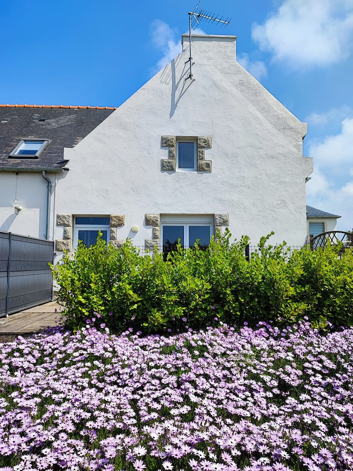 Les Hauts Vents : Les Violettes - Saint-Pol-de-Léon