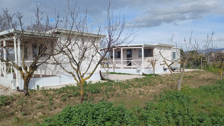 Casetta Mobile Velia - Ascea