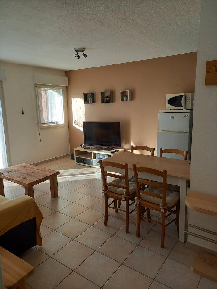 Appartement Thônes - Thônes