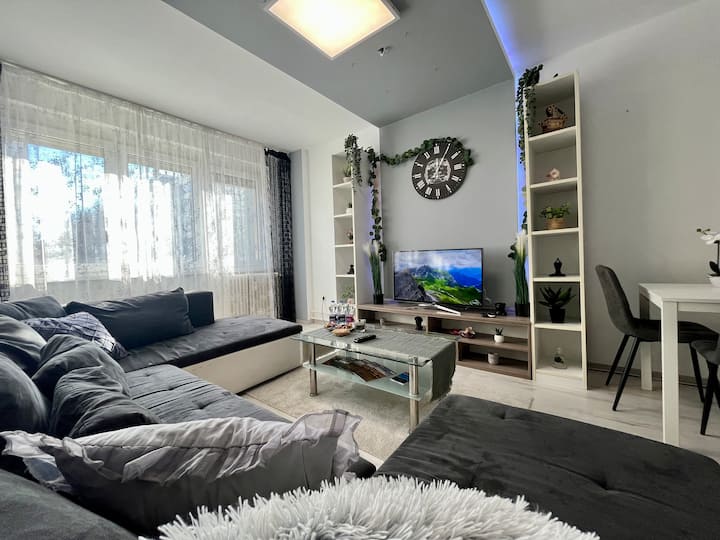 Greatforestsportandspauniversity - Debrecen