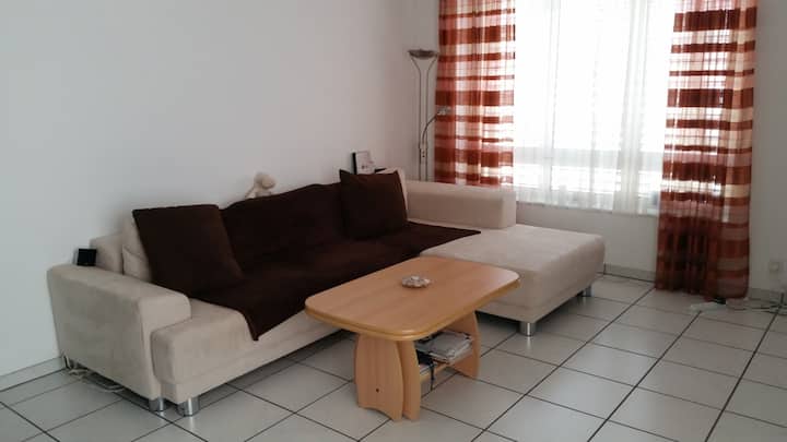 Spacious Apartment,  Conveniently Located - Basilea