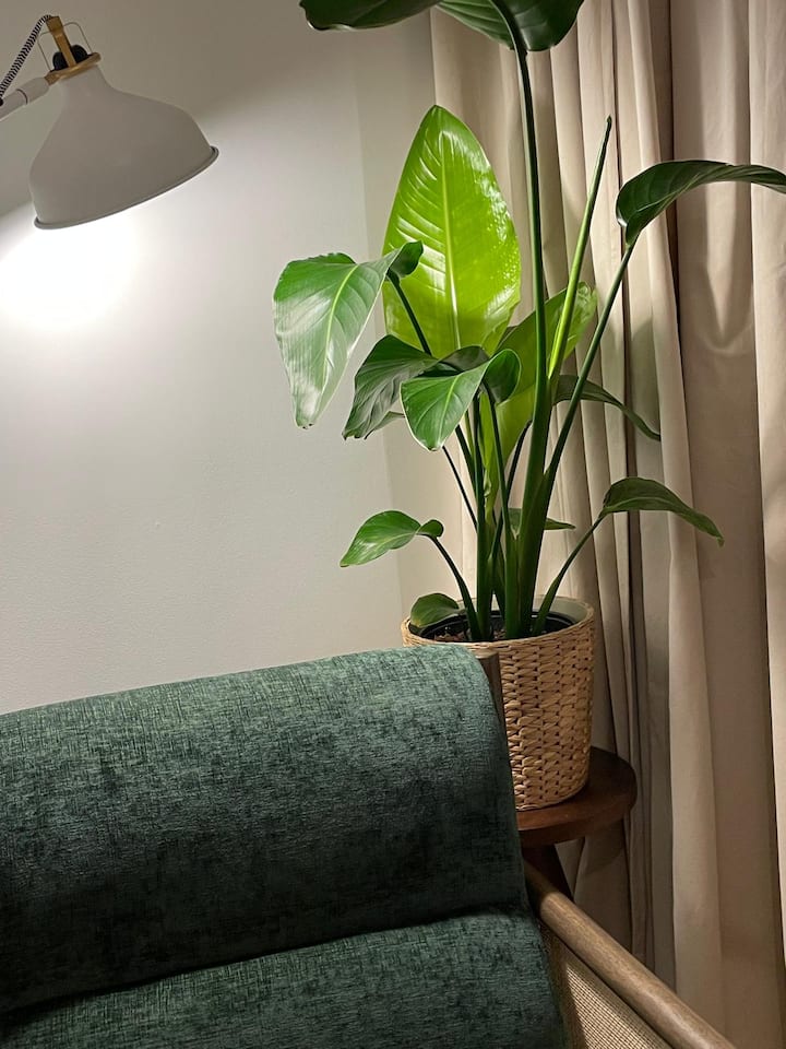 Lovely Stay In Dt Vancouver 1bdr-1bth-2beds-prkng - Vancouver