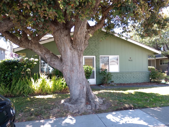 Awesome Condo Near The Beach! - Santa Cruz, CA