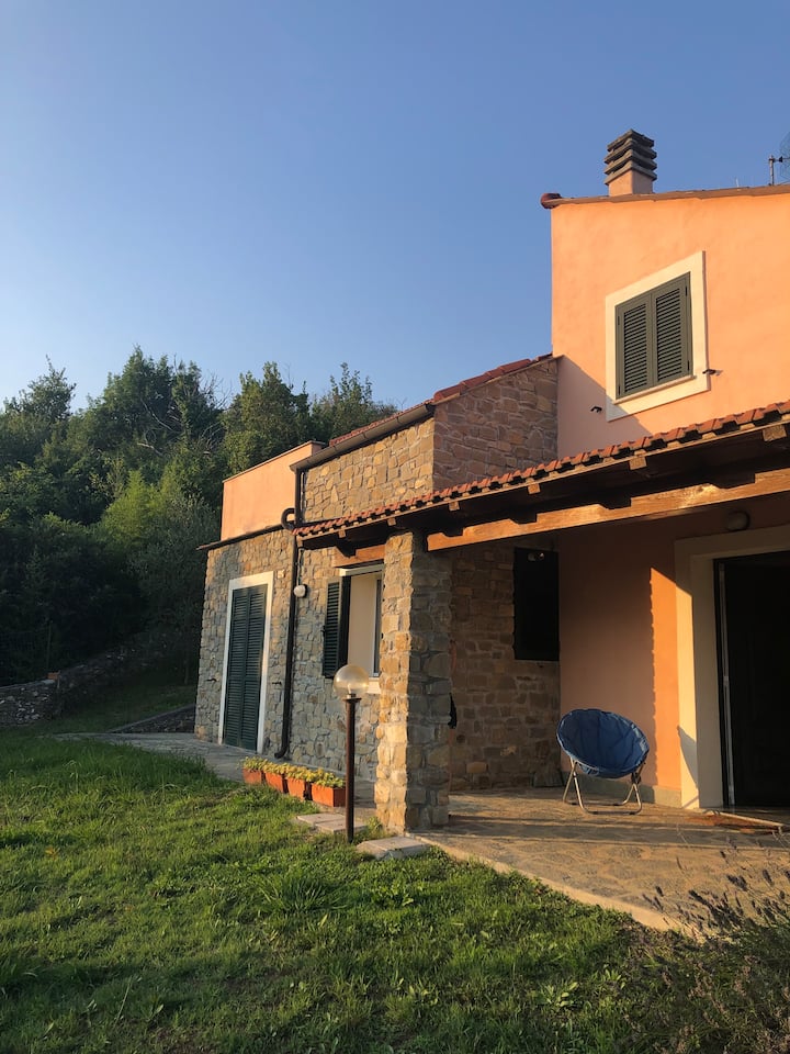 Relax Tra Gli Ulivi - アラッシオ