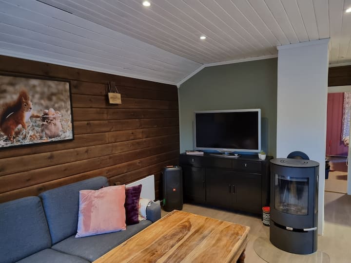 Familiehytte Ved Norefjell - Norway