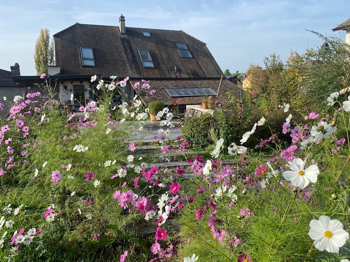 Cachet Et Jardin. - Vaud