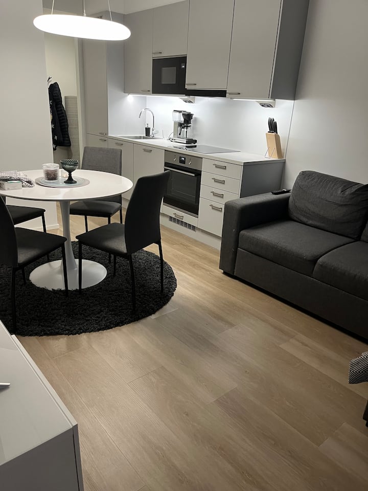 Uusi Saunallinen Kaksio - Kuopio