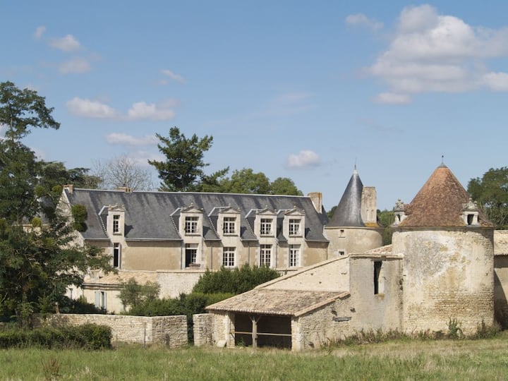 Authentique Château Xvième Ismh - La Crèche