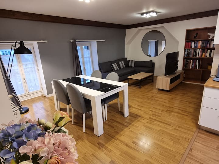 Grand Appartement Cœur De Ville - Dijon