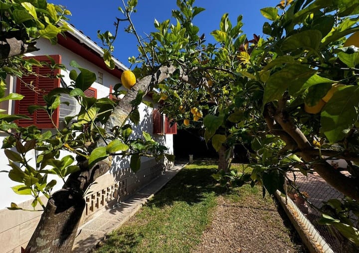 Casa Carla In Can Picafort - Can Picafort