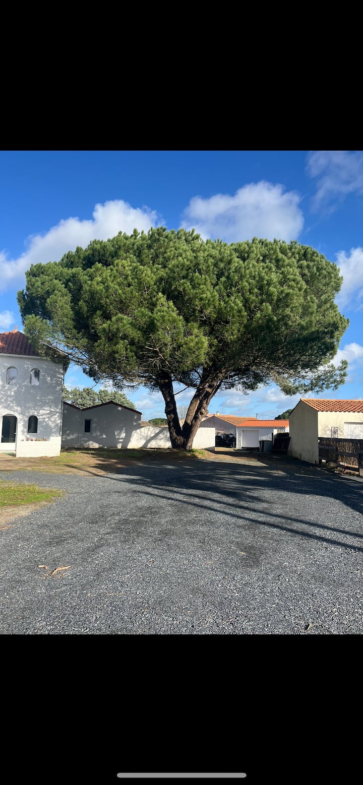 Chambre D'hôtes (4) 2 Personnes - Bretignolles-sur-Mer