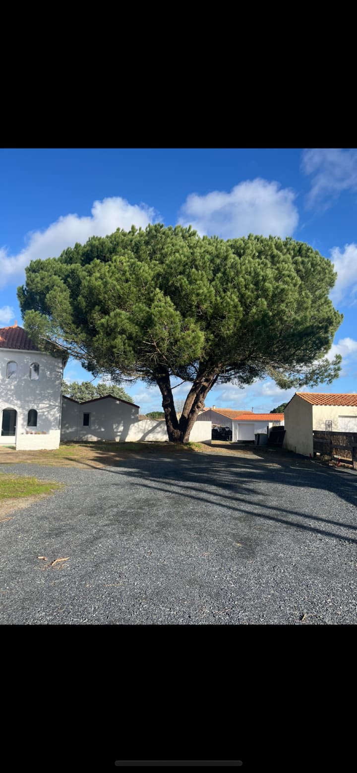 Chambre D’hôtes (1)
2 Personnes - Bretignolles-sur-Mer