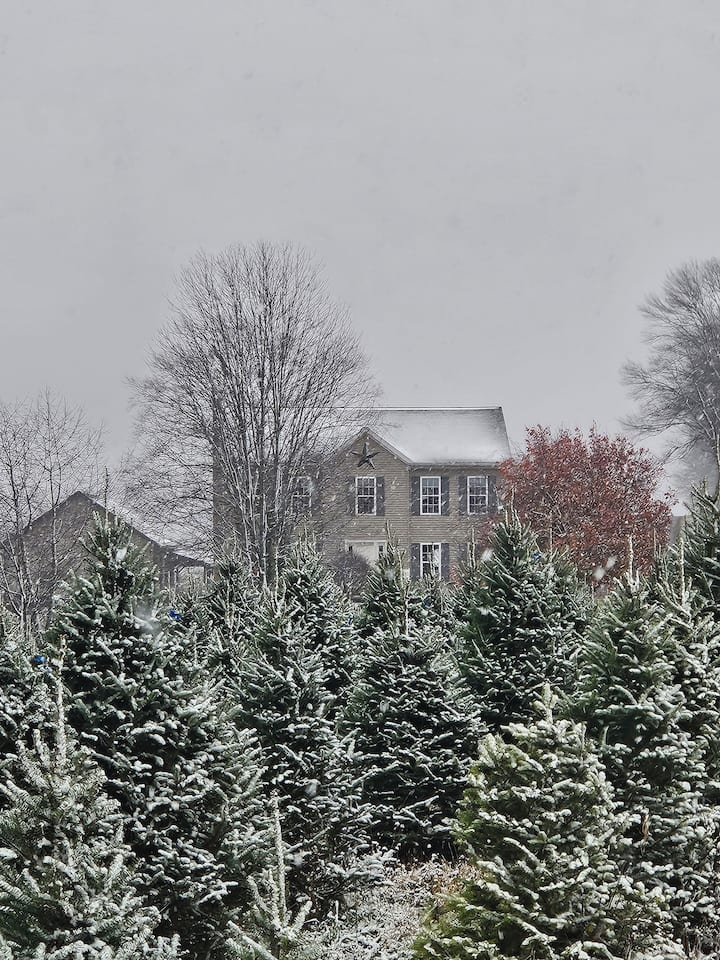 Christmas Tree Farm W/ A Hot Tub - Middleburg, PA