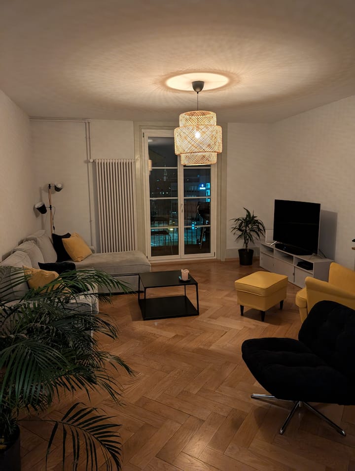 Grosse Gemütliche Wohnung - Bern