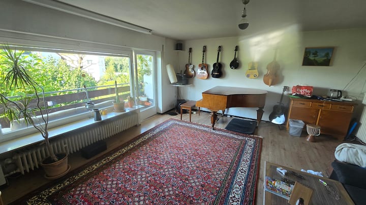 Schönes Zimmer In Musiker-wg - Darmstadt