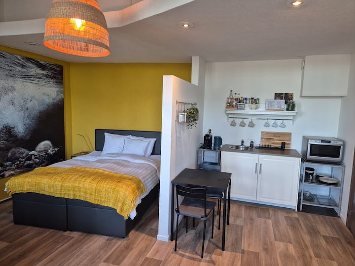 Balcony Apartment - 4 Persons - Hillegom