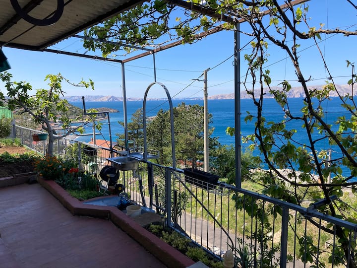 Apartman Tina Sveti Juraj, Croatia - Croatia