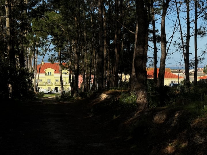 Pico Do Pirata - Ferrel