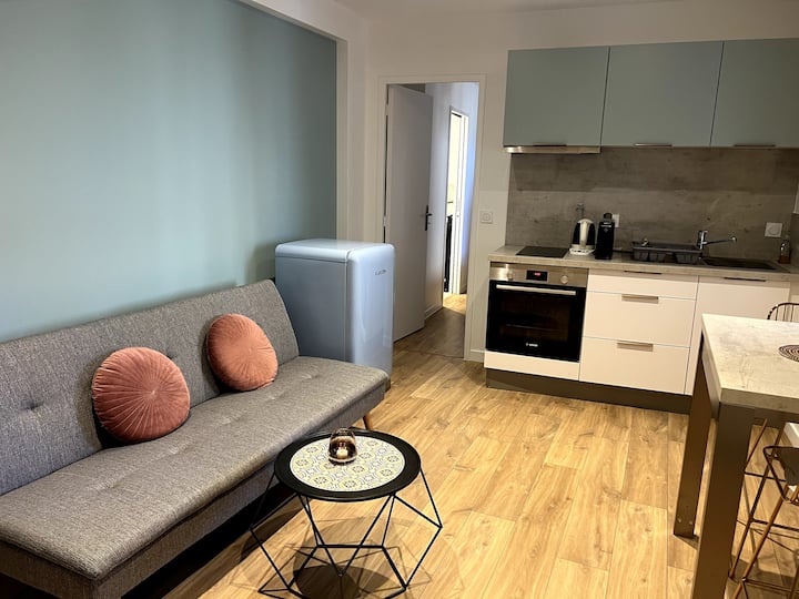 Appartement En Centre-ville - Évian-les-Bains