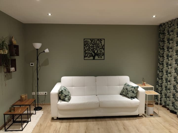 Chambre D'hôte/pièce De Travail - Charleroi
