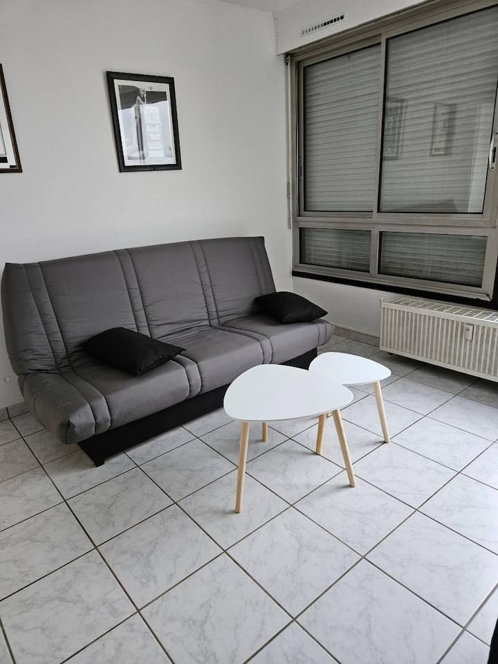 Studio(t 1) Lumineux - Niort